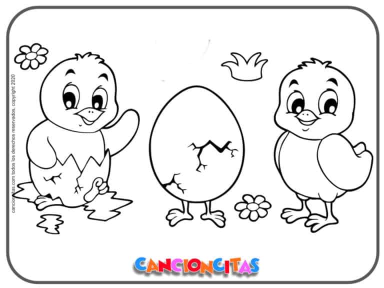 Pollitos - Cancioncitas