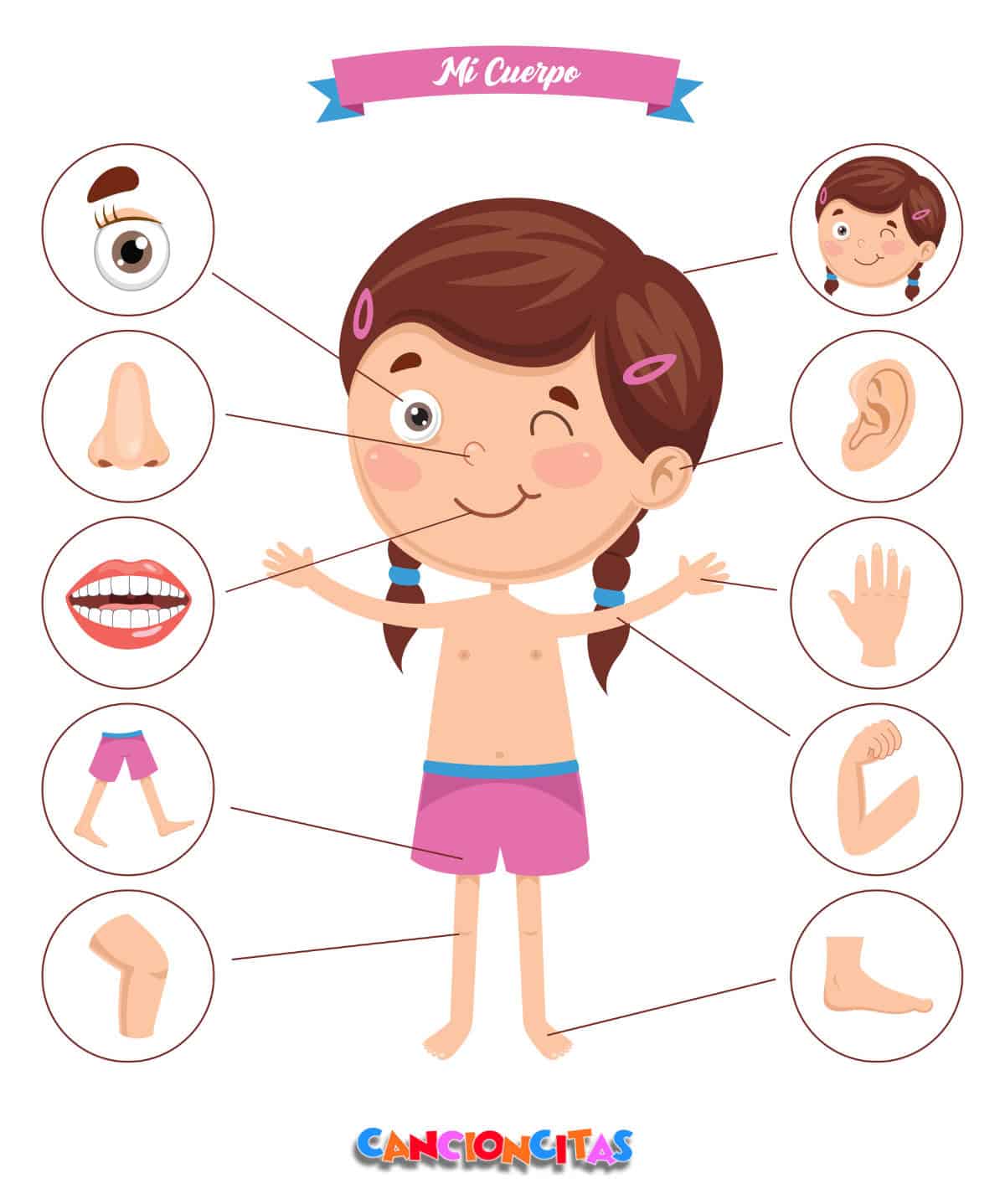 🦵🏼🦶🏼Las Partes de Mi Cuerpo👂🏼👄 - Cancioncitas